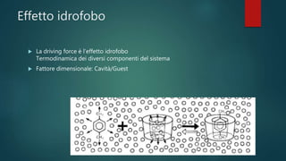 Ciclodestrine in cosmetica | PPTX