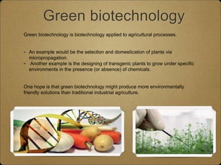 Presentazione biotecnology | PPT