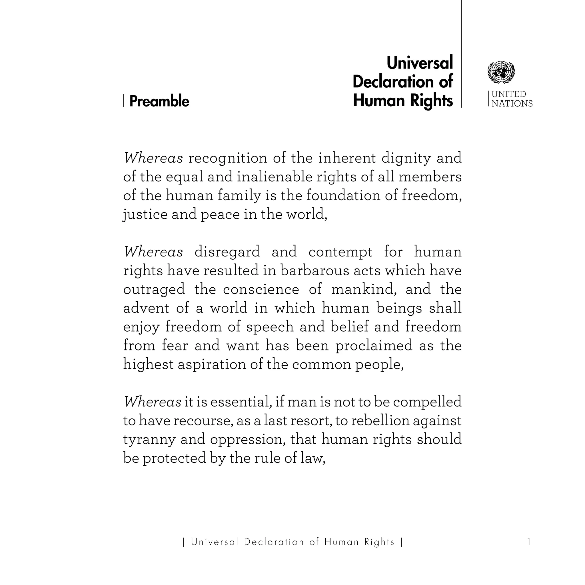 The Universal Declaration of Human Rights as seen by Elyx | PDF