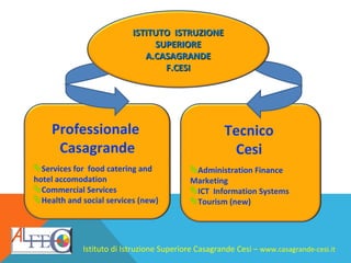 Sintesi della presentazione Casagrande-Cesi nel meeting a Vienna | PPT