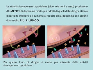 Presentazionedroga | PPT