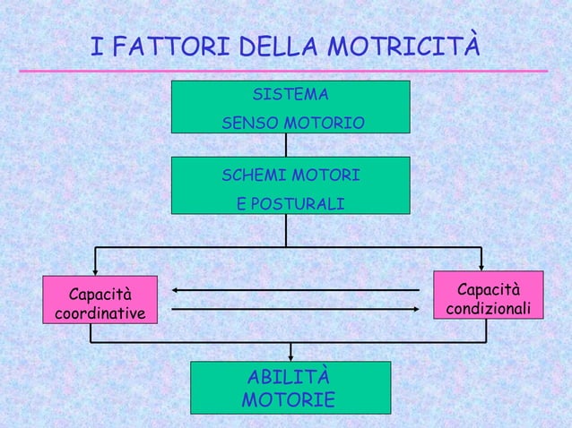 Presentazione ed. motoria (1) | PPT