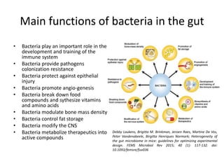 PPI Microbiota And Bones | PPTX