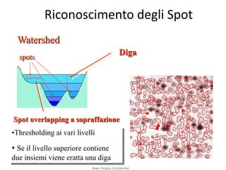 Giacomo Veneri Thesis 1999 University of Siena | PPT