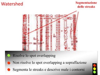 Giacomo Veneri Thesis 1999 University of Siena | PPT