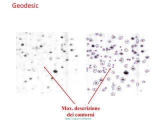 Giacomo Veneri Thesis 1999 University of Siena | PPT