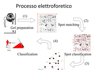 Giacomo Veneri Thesis 1999 University of Siena | PPT
