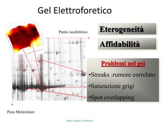 Giacomo Veneri Thesis 1999 University of Siena | PPT