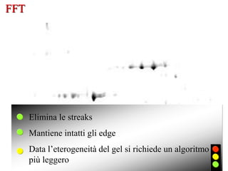 Giacomo Veneri Thesis 1999 University of Siena | PPT