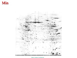 Giacomo Veneri Thesis 1999 University of Siena | PPT