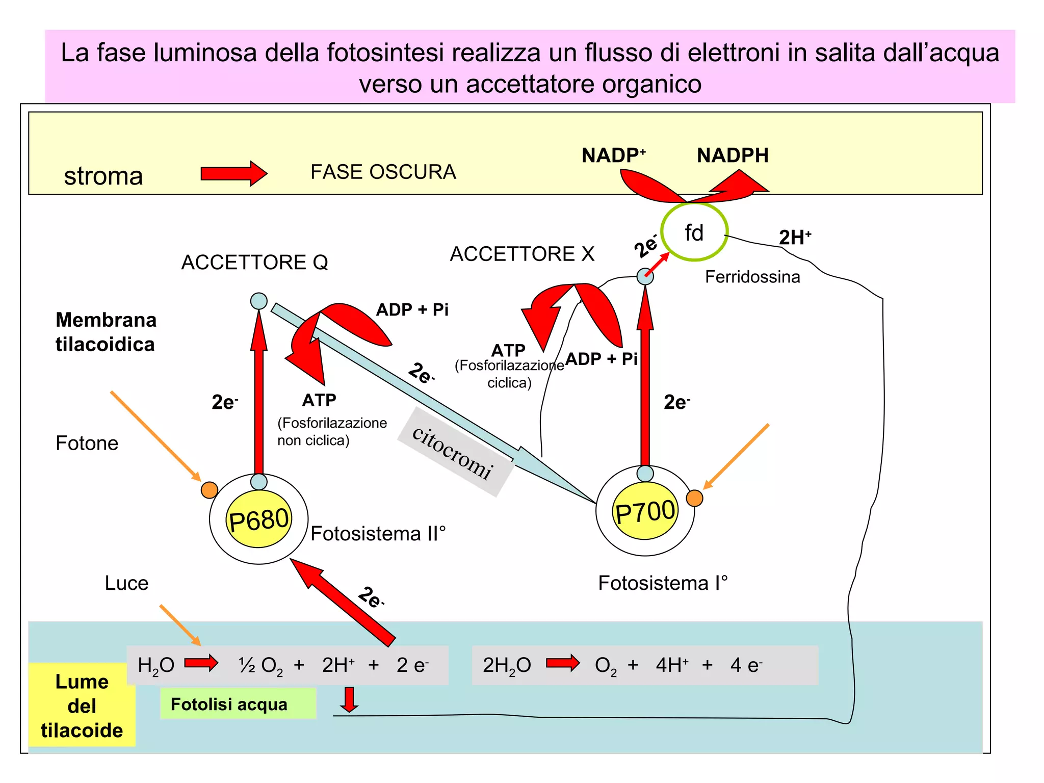 Presentazionefoto | PPT
