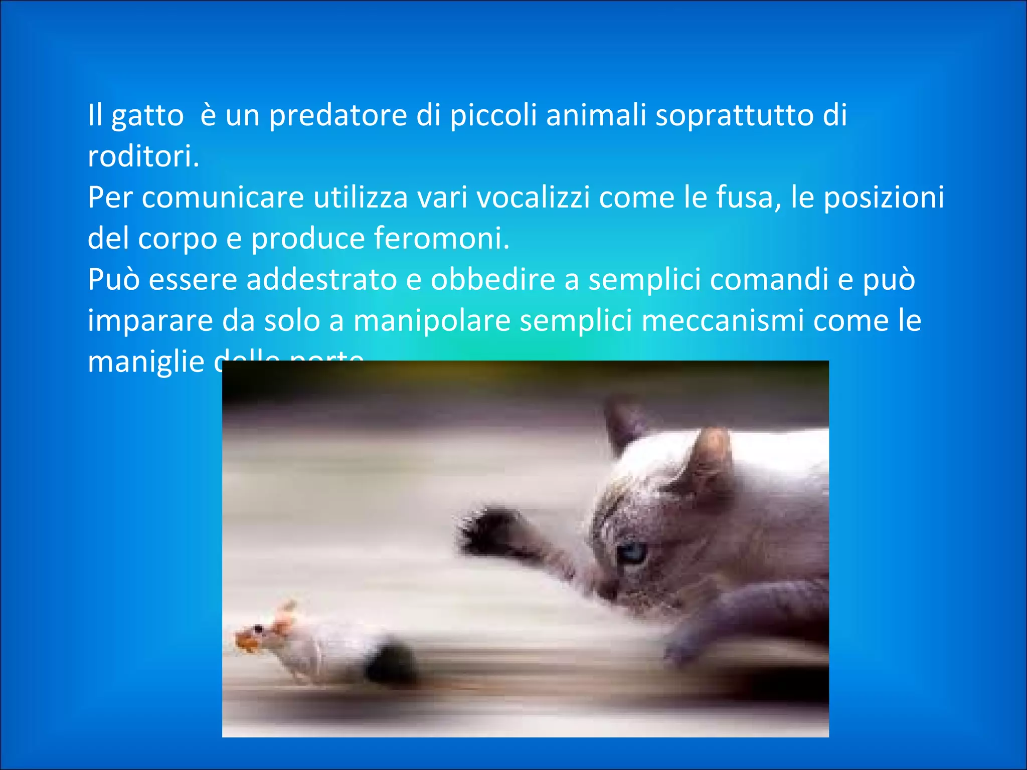 Presentazione gatto giada | PPT
