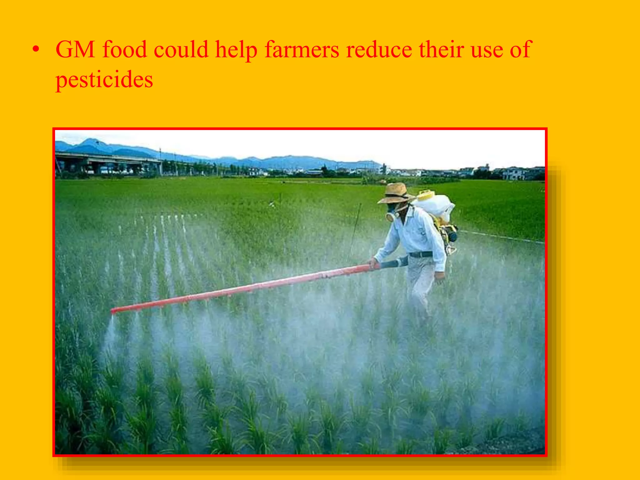 Presentazione gm food bugini, nozza, menghini | PPT