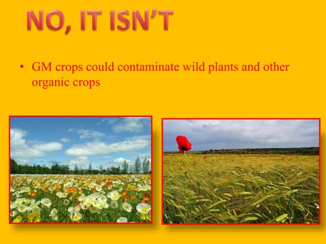 Presentazione gm food bugini, nozza, menghini | PPTX