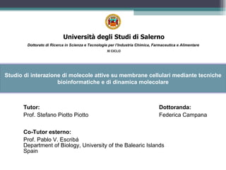 Presentazione ii anno campana | PPT