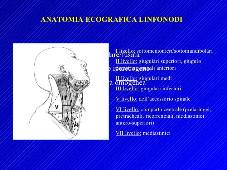 Presentazione legnano