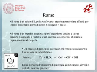 ppt Laurea Magistrale | PPTX