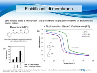 Presentazione marco perone | PPT