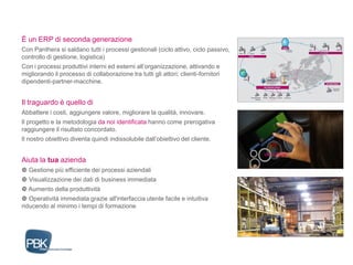 Presentazione panthera pbk | PDF | Logistics | Business