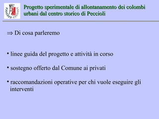 Peccioli Pigeon Control experimental project | PDF