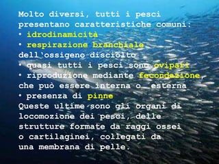 Presentazione pesci | PPTX