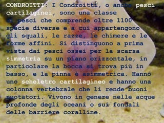 Presentazione pesci | PPTX