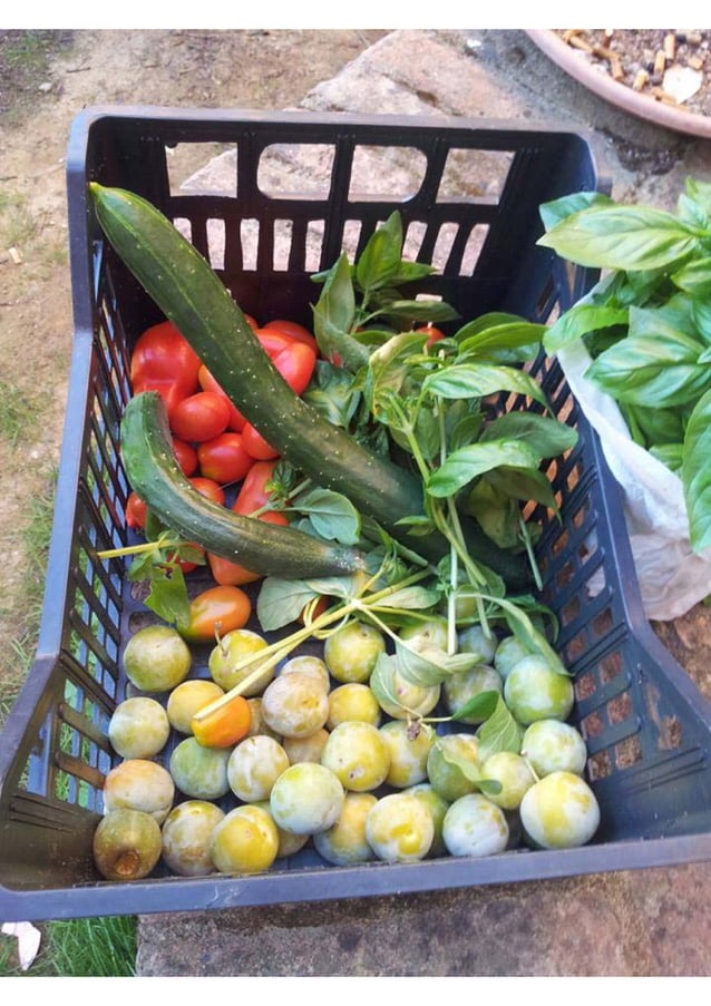 Presentazione Francesco Rinaldi Priore of the Selva Contrada | PDF