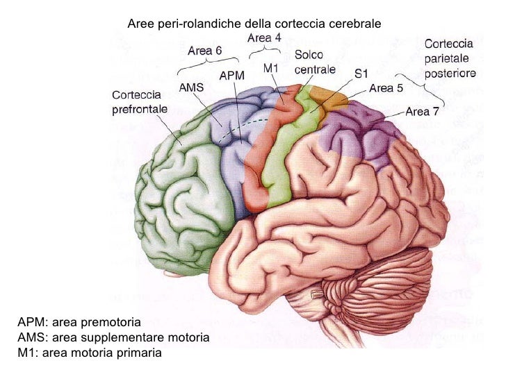 Presentazione Sancesario G.
