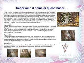 Presentazione scienze | PPT
