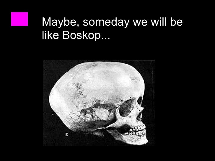 Presentazione senza titolo