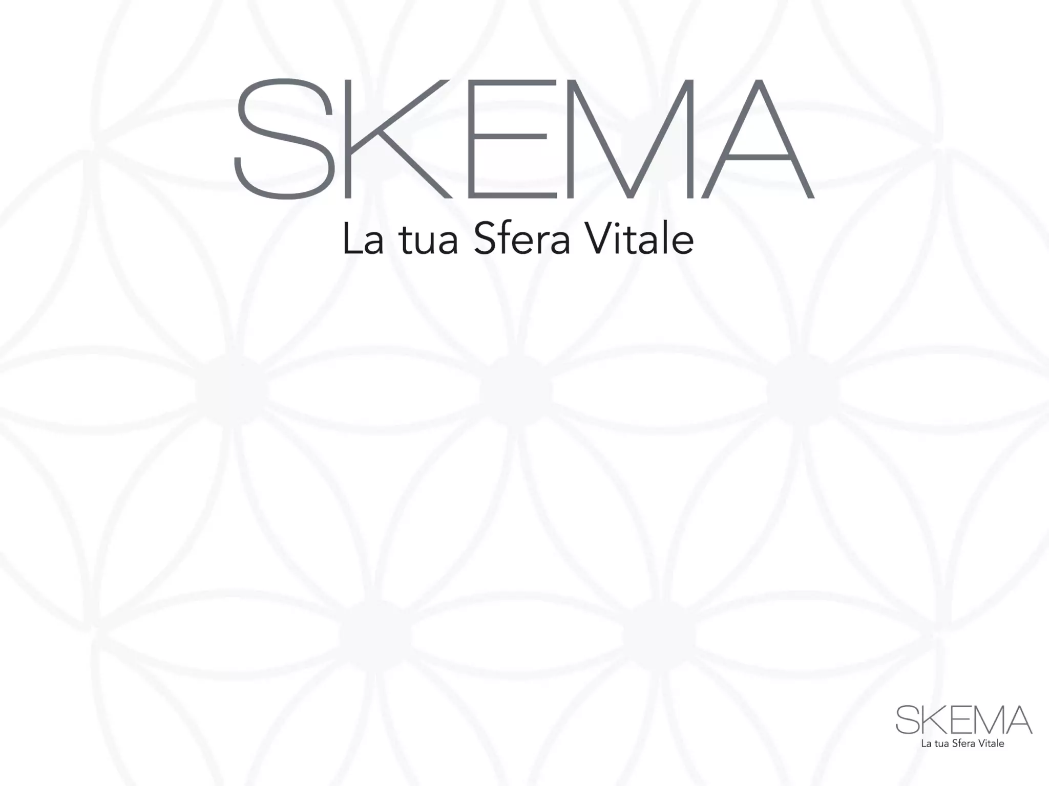 Presentazione skema showroom | PPT