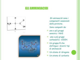Presentazione standard2 | PPT