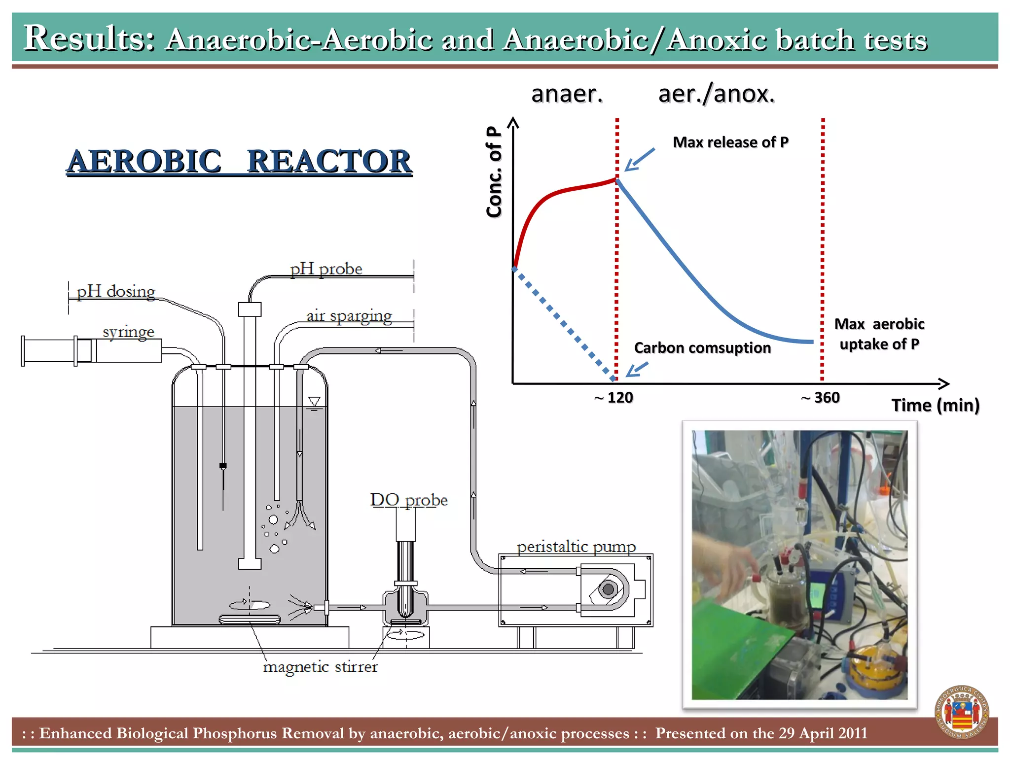 Enhanced Biological Phosporous Removal by Anaerobic and Aerobic/Anoxic ...