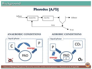 Enhanced Biological Phosporous Removal by Anaerobic and Aerobic/Anoxic ...