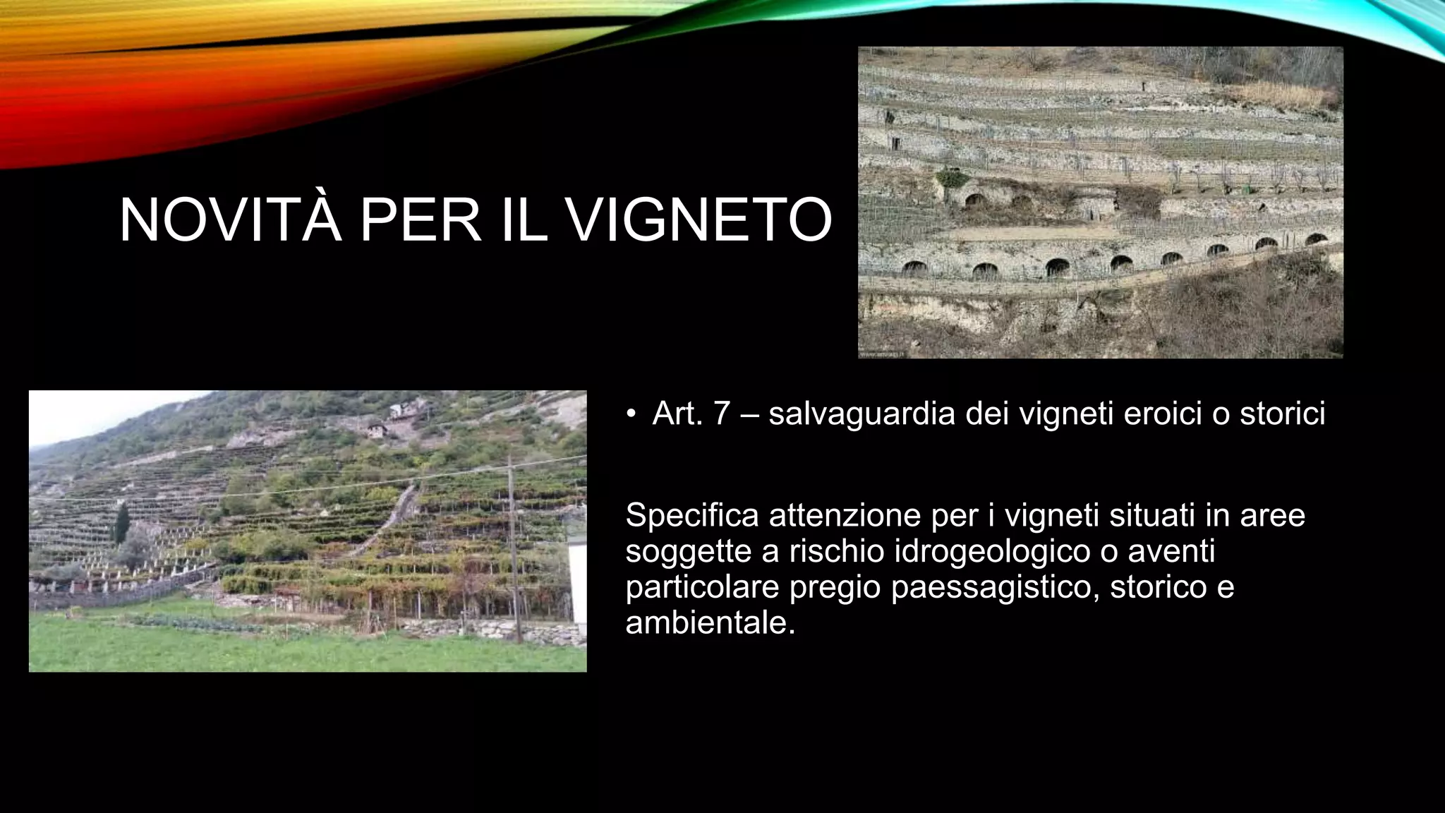 Presentazione Testo Unico del VIno | PPTX | Agriculture | Industries