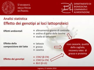 Studio delle relazioni tra composizione della proteina, resa casearia ...