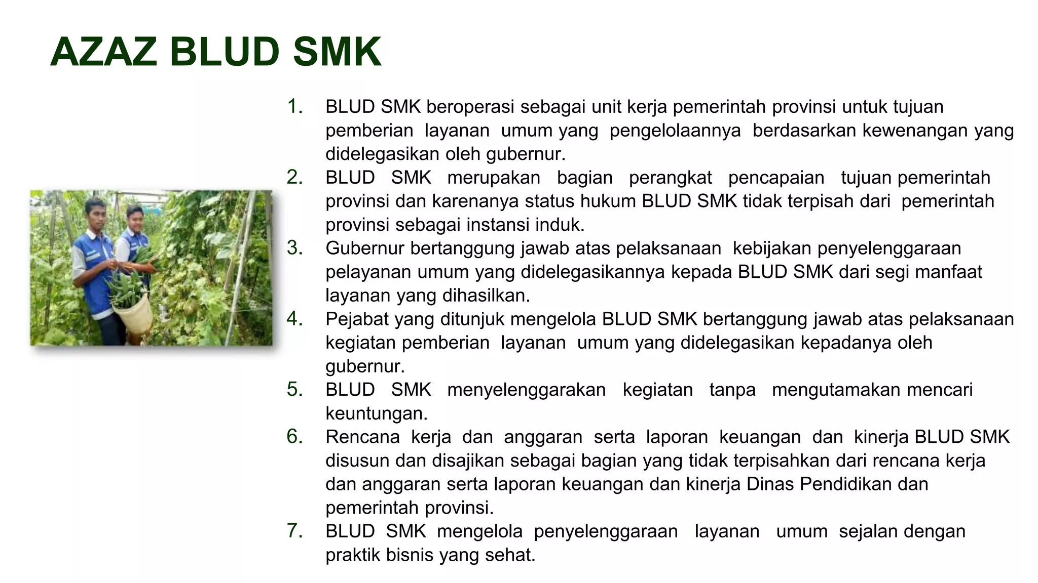 present BLUD SMK_2.ppt