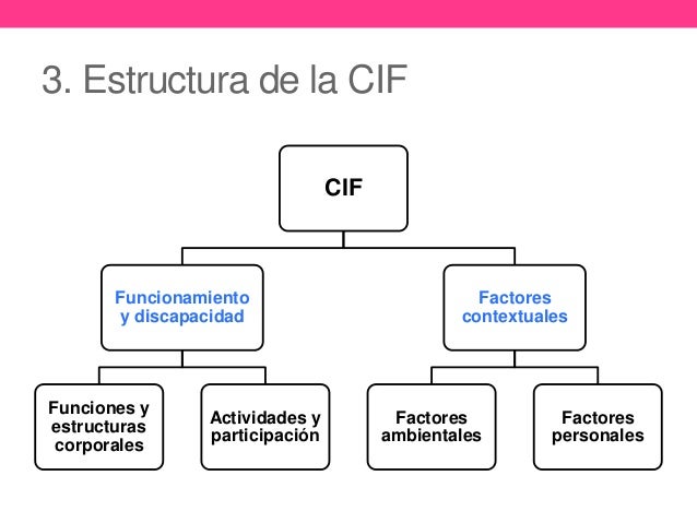 Presentación cif