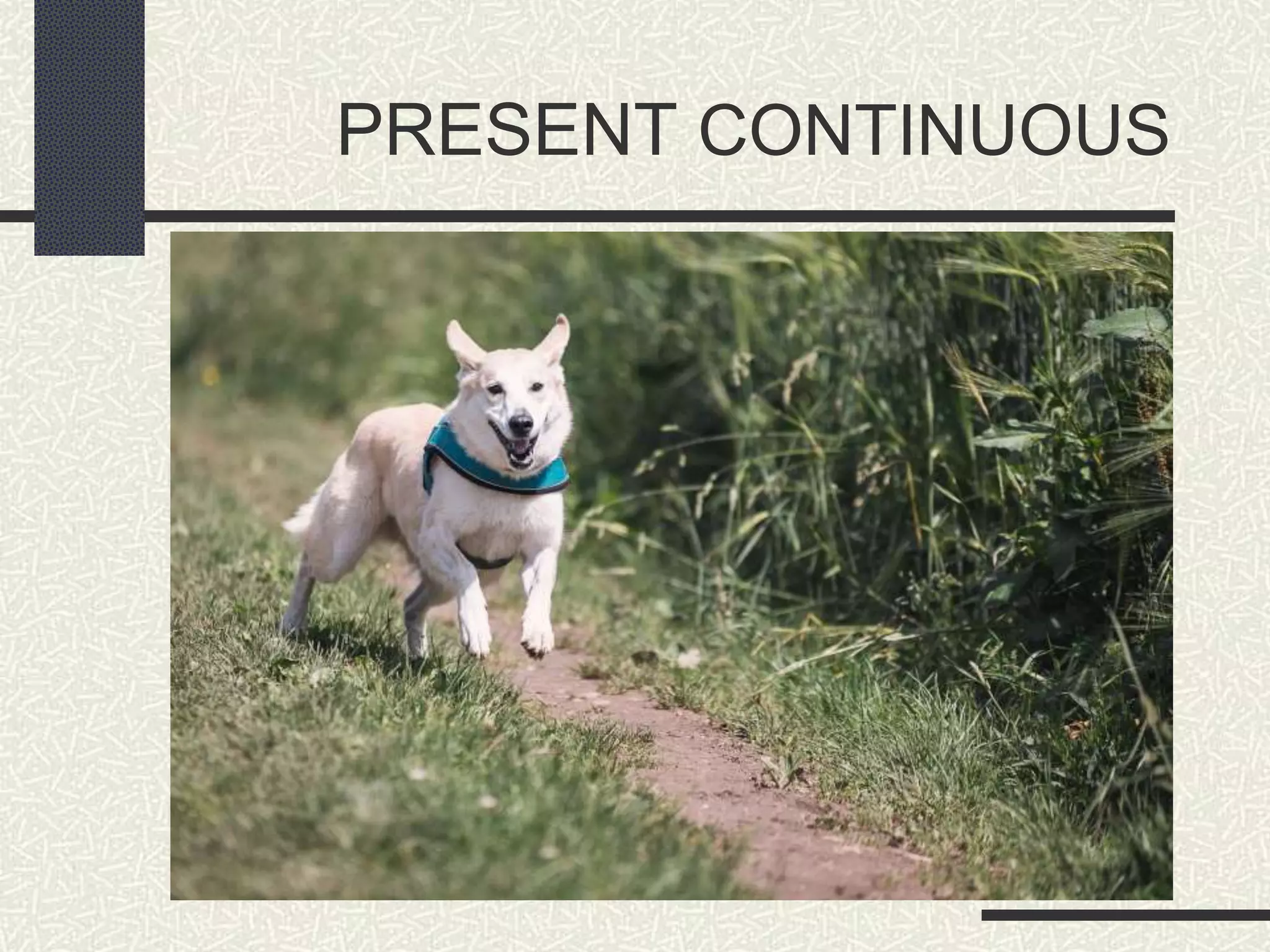 Present continuous | PPTX