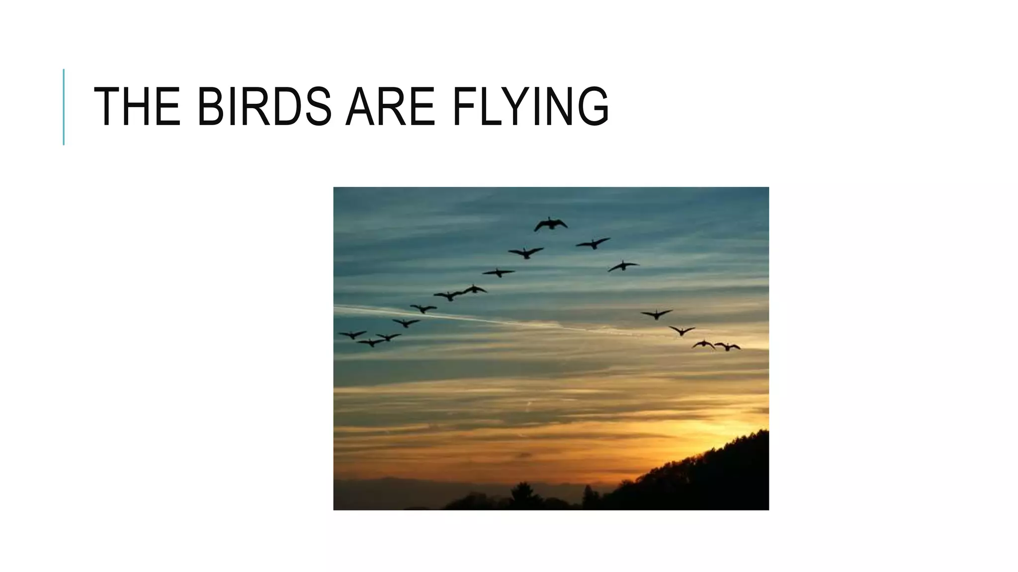 Present continuous | PPTX