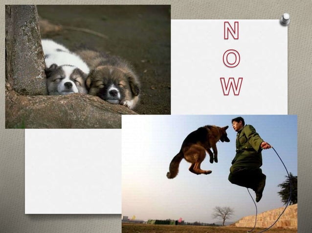 Present cont unit 7 | PPT