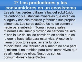 El ecosistema. Mercedes y Clara. | PPT