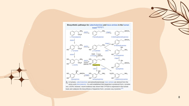 Dopamine summary and presentation by group g.pptx