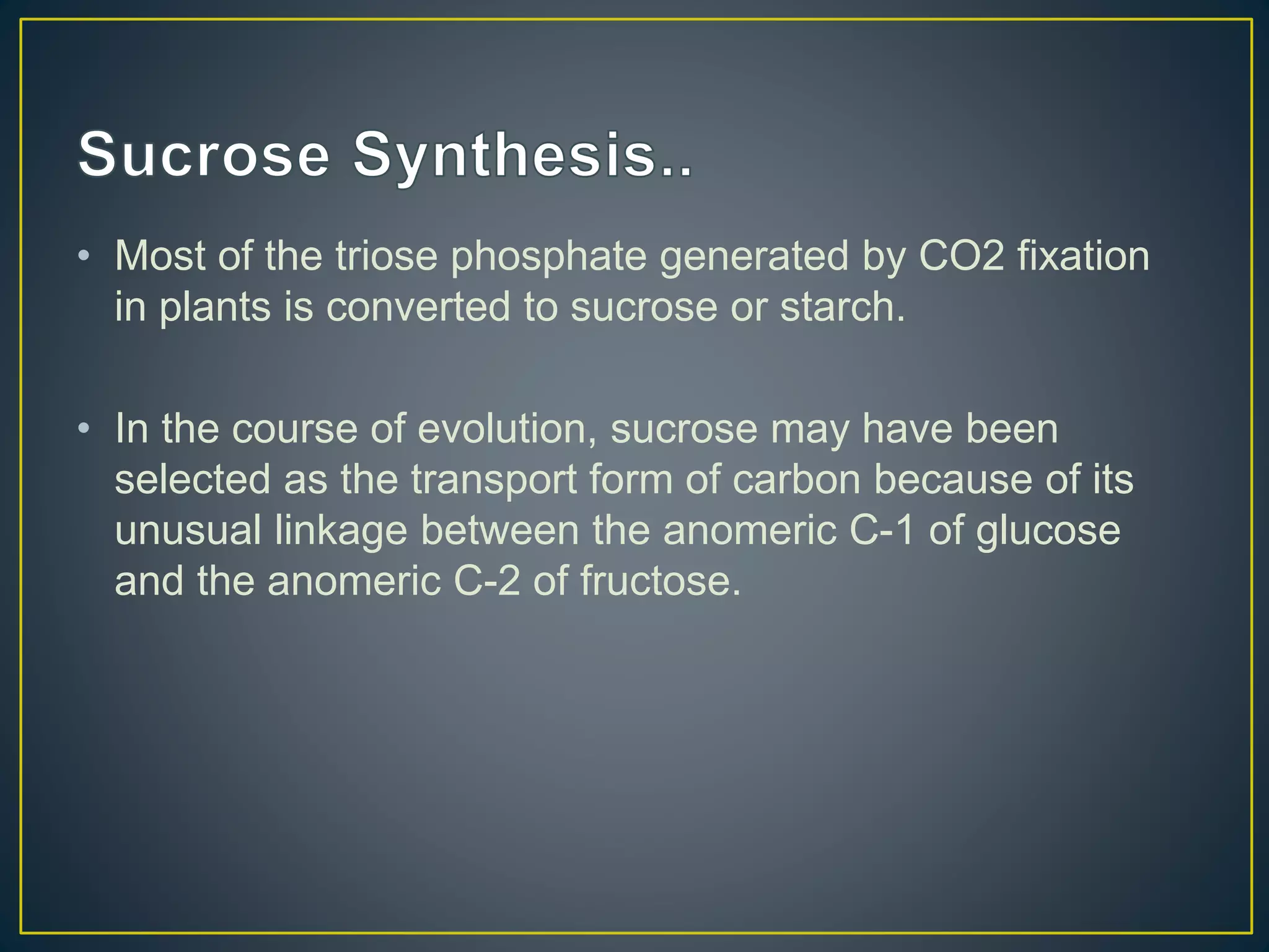 synthesis of sucrose presented by kulsoom pirjan baloch | PPTX