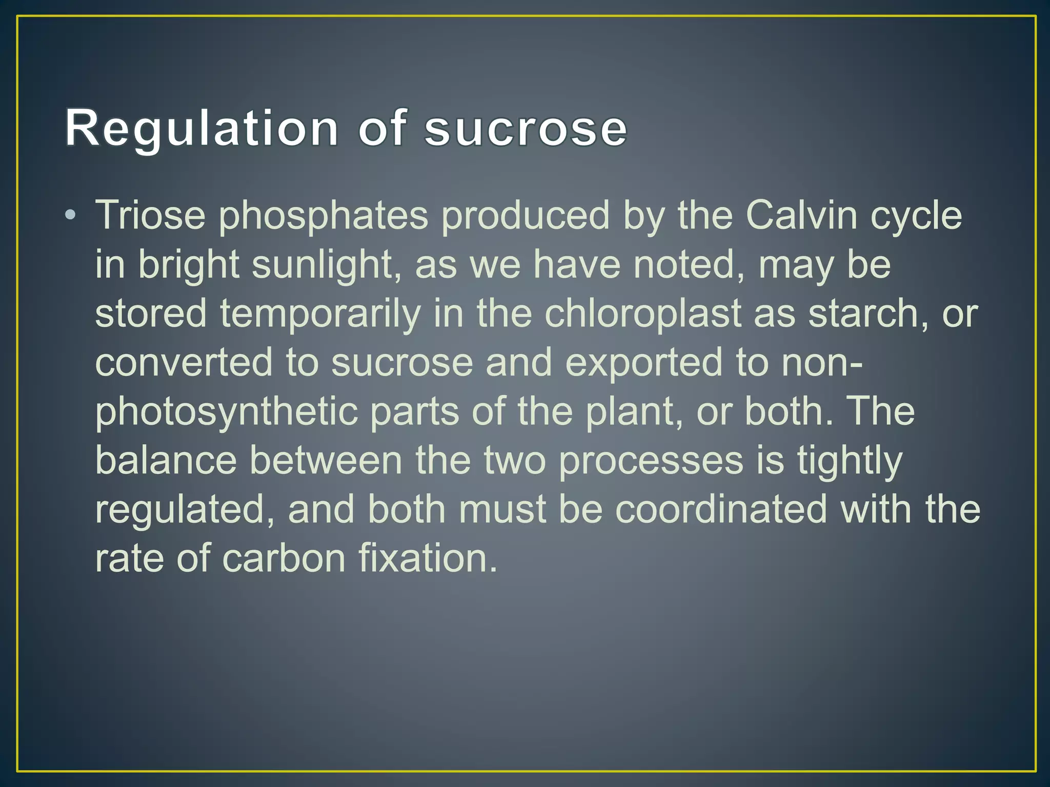 synthesis of sucrose presented by kulsoom pirjan baloch | PPTX