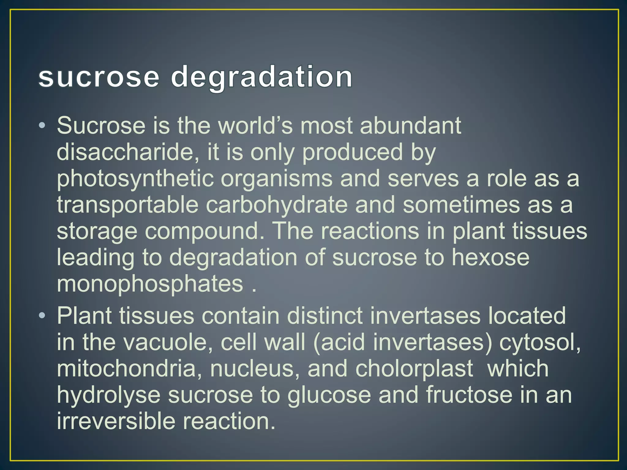 synthesis of sucrose presented by kulsoom pirjan baloch | PPTX