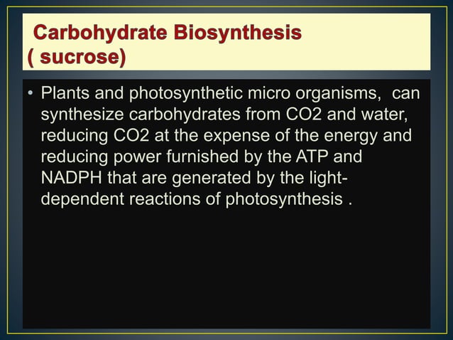 synthesis of sucrose presented by kulsoom pirjan baloch | PPTX