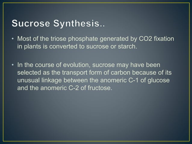 synthesis of sucrose presented by kulsoom pirjan baloch | PPTX