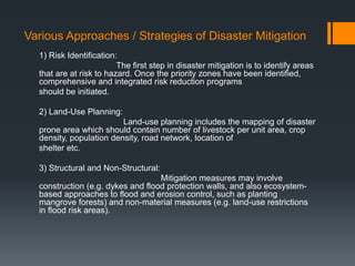 Disaster Risk Reduction Planning | PPTX