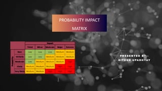 Enterprise risk management | PPT